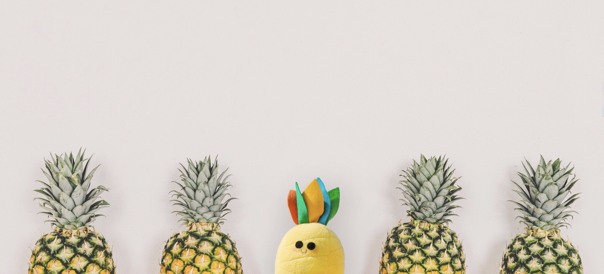 FAQ - What Is PPOD? - Wanderly